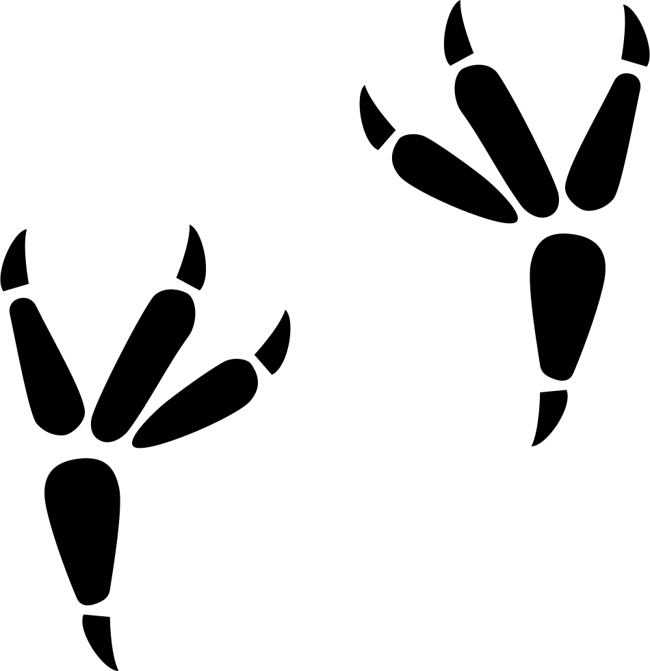 Download Png File Svg - Falcon Footprint Clipart Png Download - PikPng