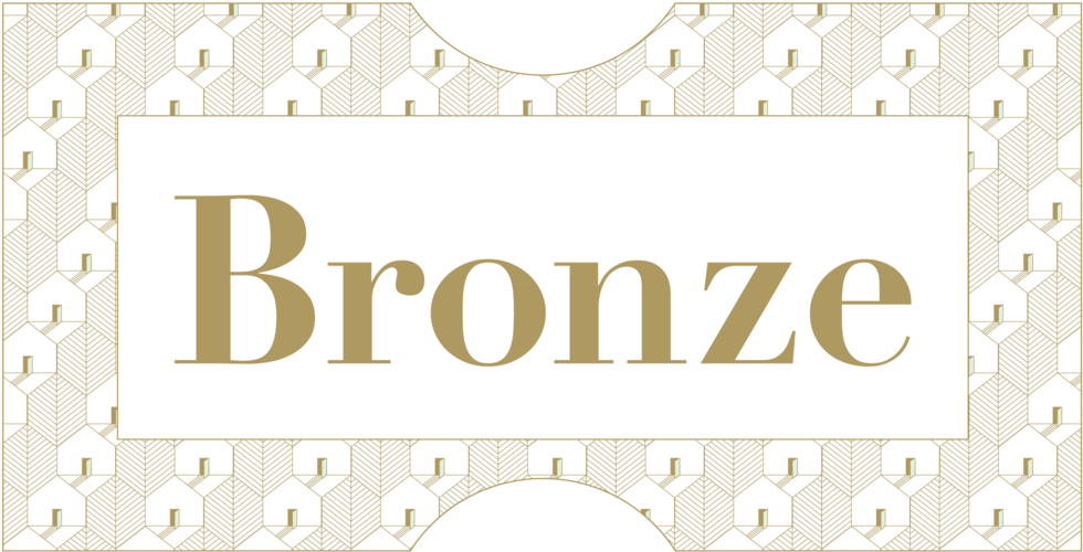 Bronze-ticket - Zebra Child Protection Centre Clipart - Large Size Png ...