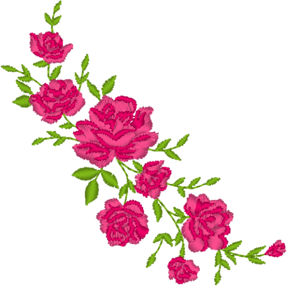 Rose Vine Png - Garden Roses Clipart - Large Size Png Image - PikPng