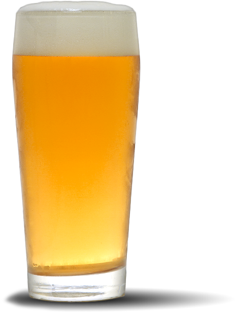 All-in Ipa - Ipa Png Clipart - Large Size Png Image - PikPng