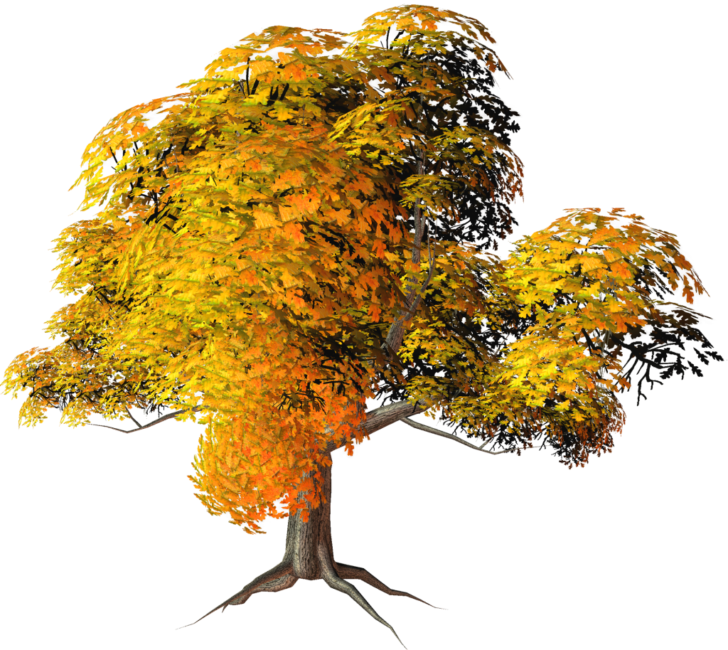 Source - - Fall Trees Transparent Background Clipart - Large Size Png ...