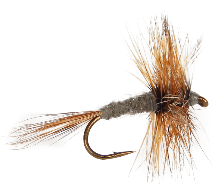 Adams - Fly Fishing Fly Clipart - Large Size Png Image - PikPng