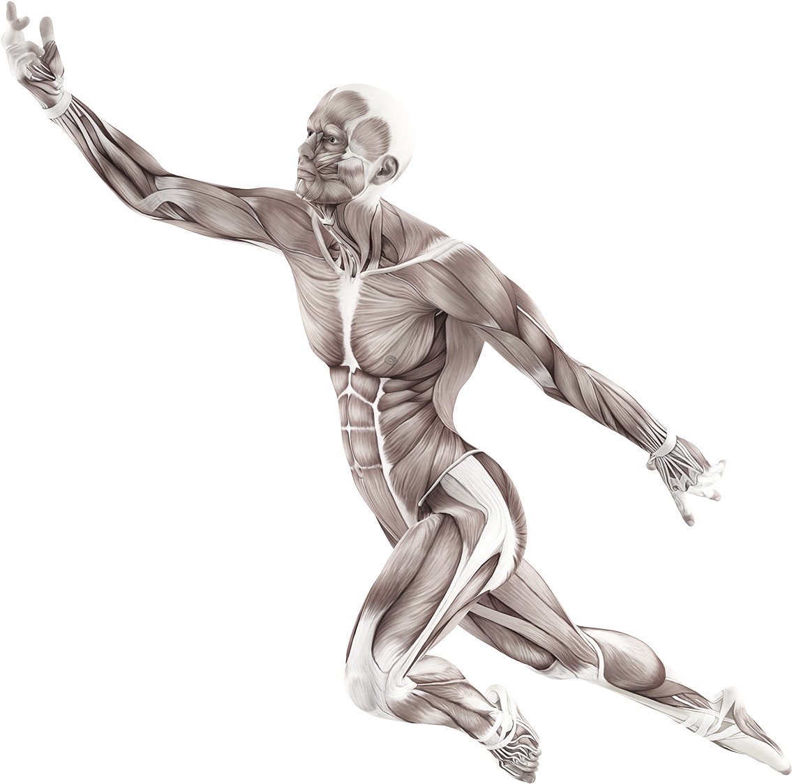 Mat® Masters Courses - Body In Motion Png Clipart - Large Size Png ...