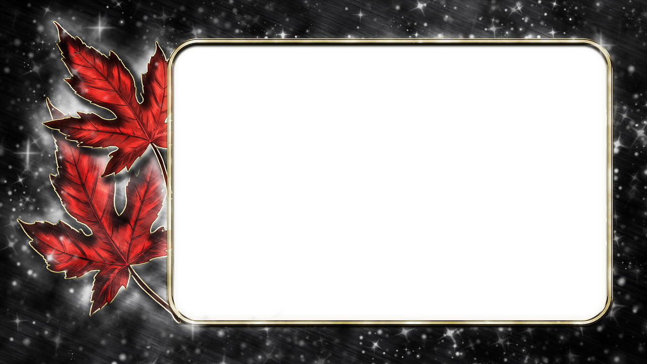 Frame, Photo Frame, Black, Autumn, Leaves, Night Sky - Transparent ...
