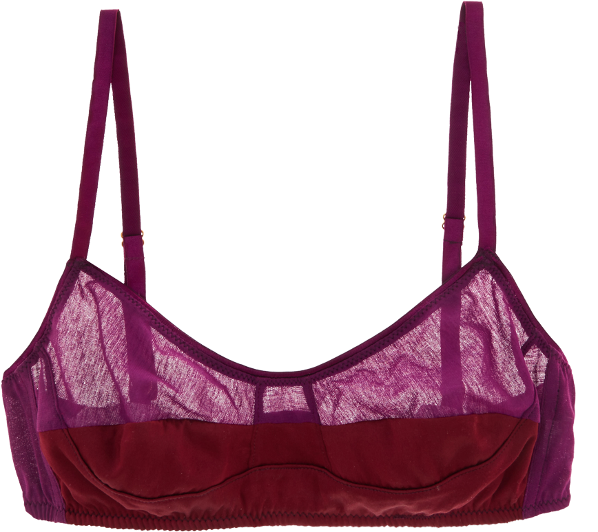 Hanging Bra Png , Png Download Clipart - Large Size Png Image - PikPng