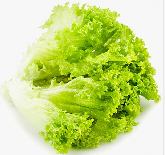 Salad Patta / Lettuce - Lettuce Clipart - Large Size Png Image - PikPng