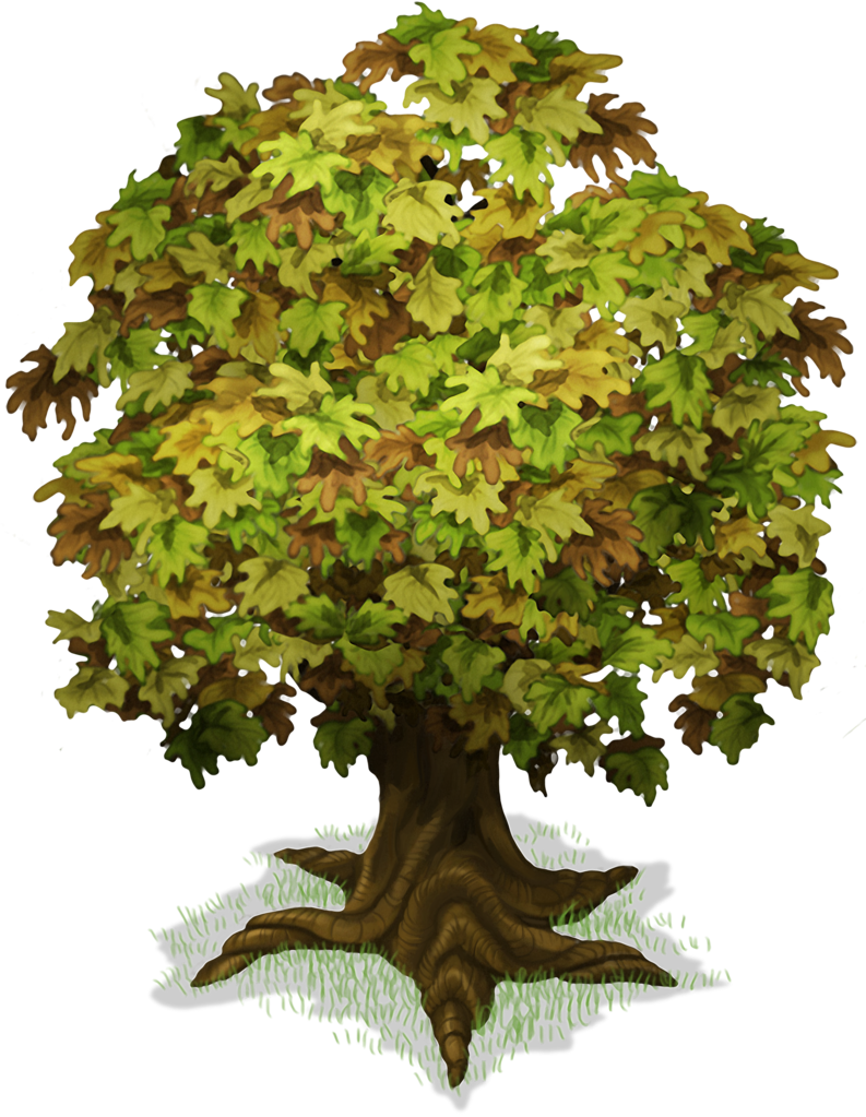 Maple Tree Png - Big Trunk Tree Png Clipart - Large Size Png Image - PikPng
