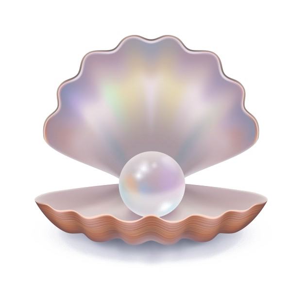 Pearl Download Png Image - Pearl Transparent Background Clipart - Large ...