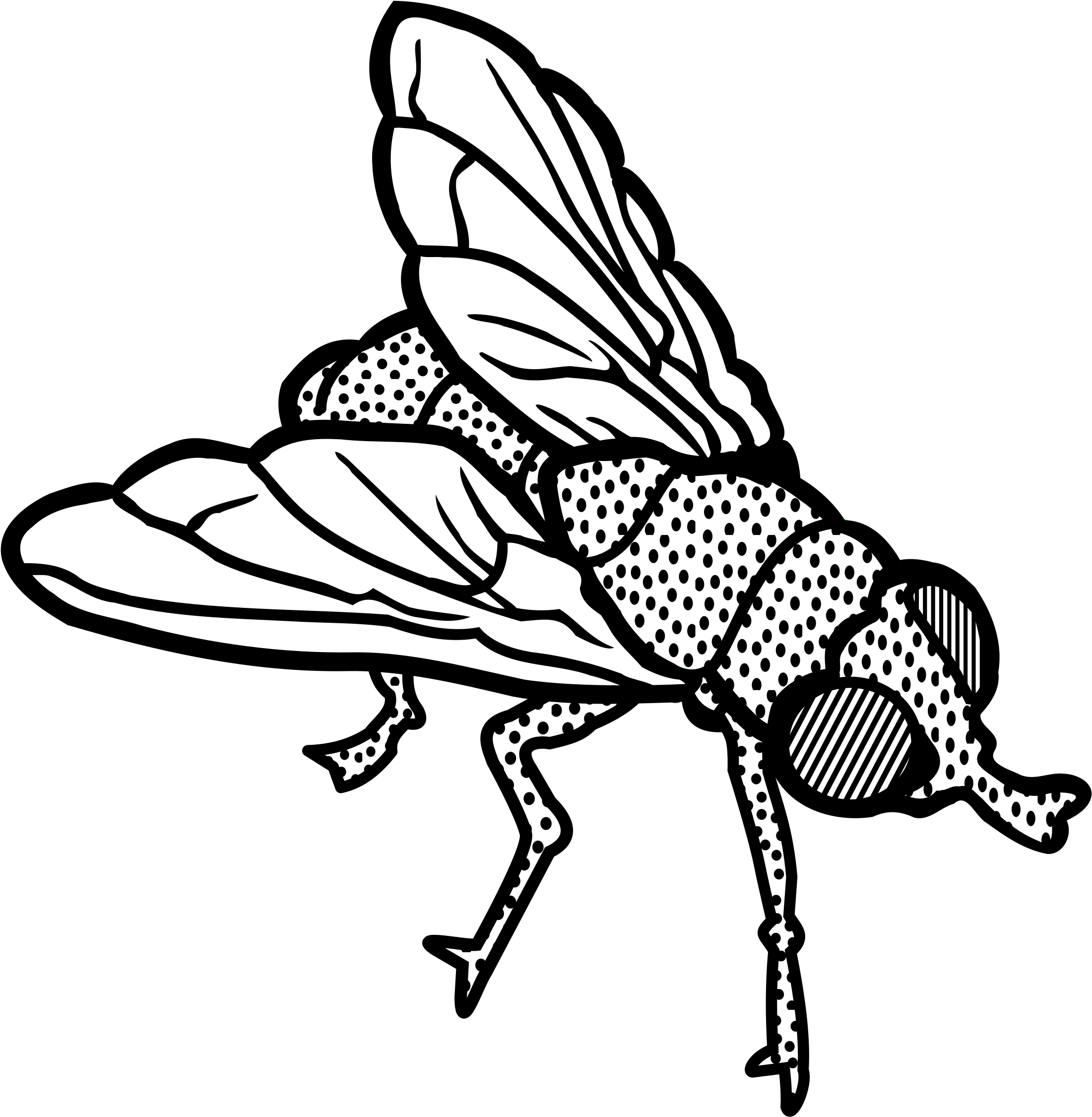 Fly Clipart Transparent - Fly Clip Art Black And White - Png Download ...