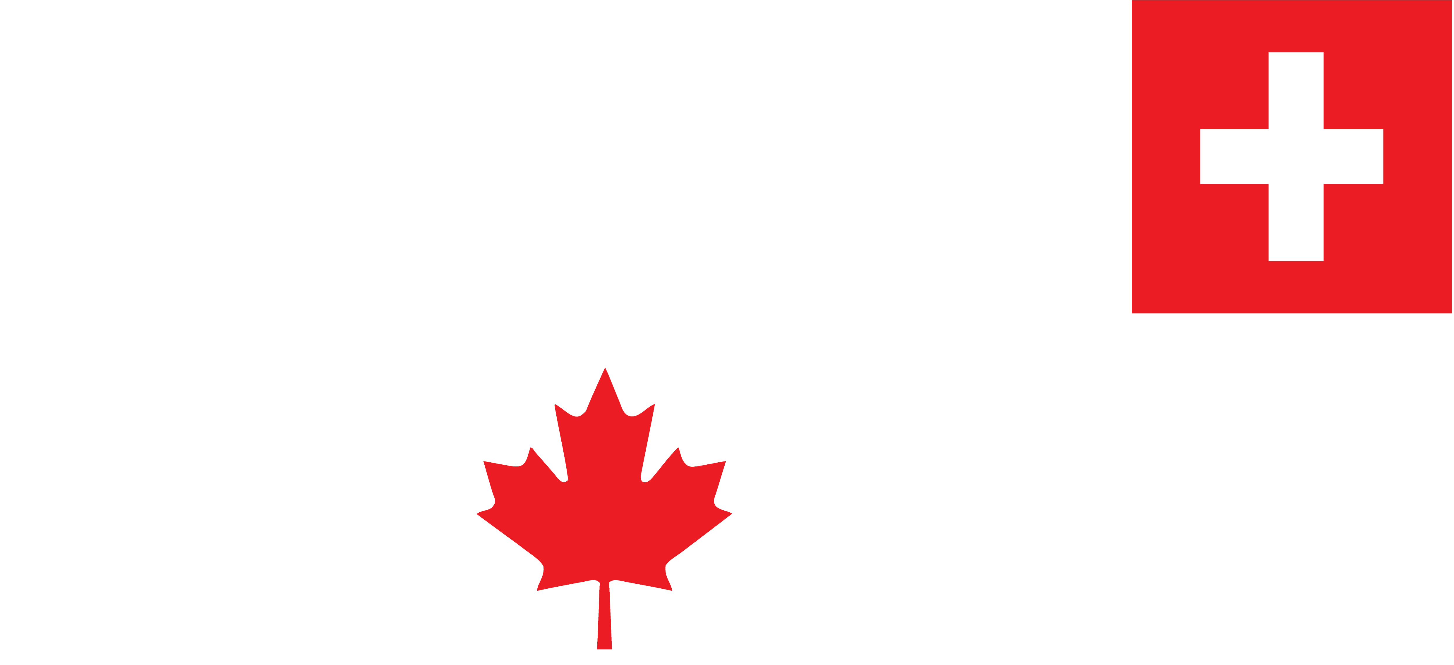 Tyson Kidd And Cesaro Logo - Canada Flag Clipart - Large Size Png Image ...