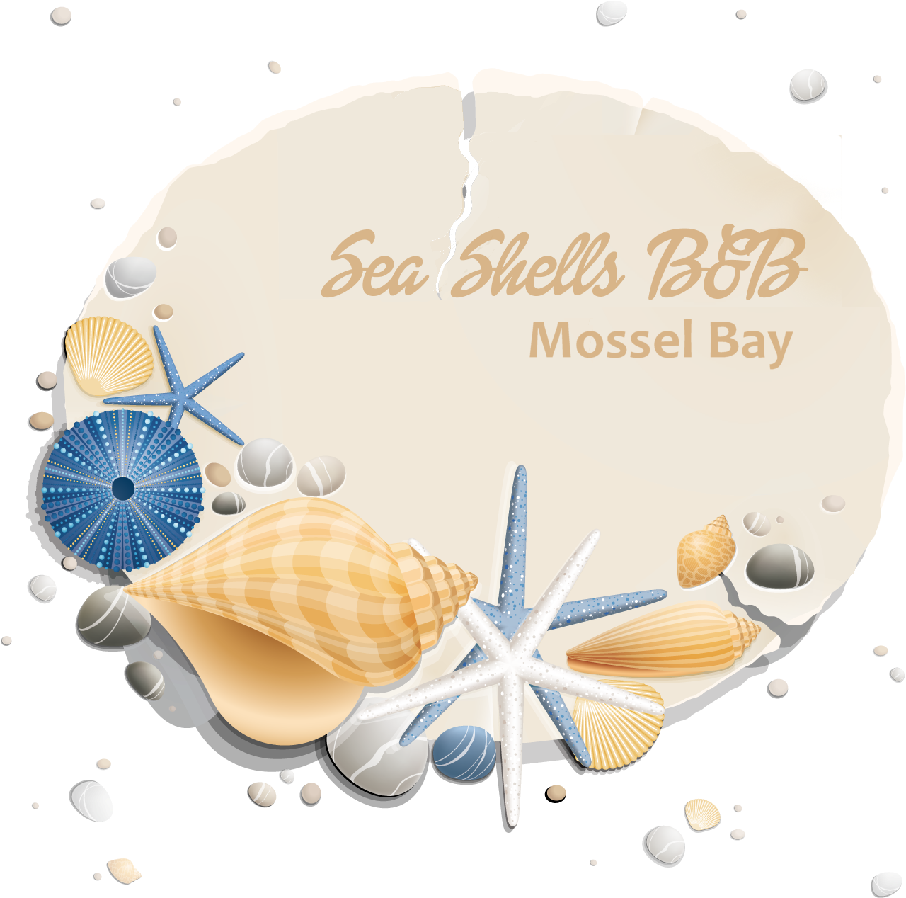 Mossel Bay Sea Shells B&b - Sand Dollar Clipart - Large Size Png Image ...