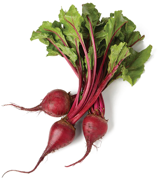 Beet Png Image Transparent Background Clipart - Large Size Png Image ...