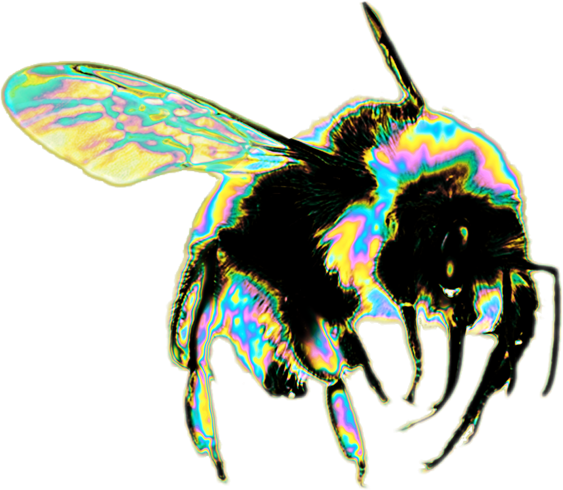 Insect Png Tumblr - Wasp Bee Clipart - Large Size Png Image - PikPng