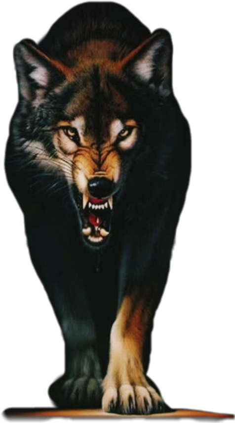 Wolf Clipart - Large Size Png Image - PikPng