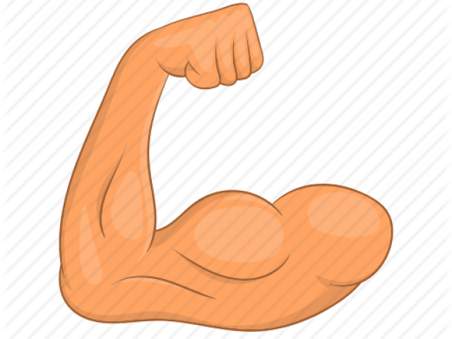 Bicep Cartoon Clipart - Large Size Png Image - PikPng