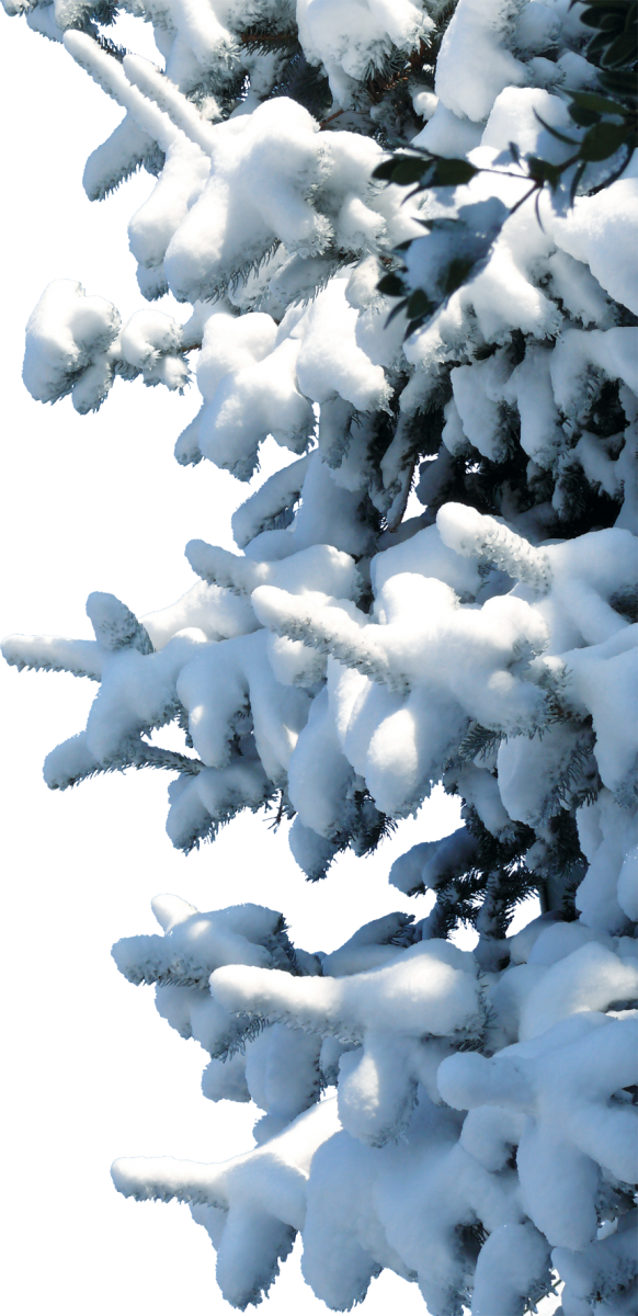 Snow Clipart - Large Size Png Image - PikPng