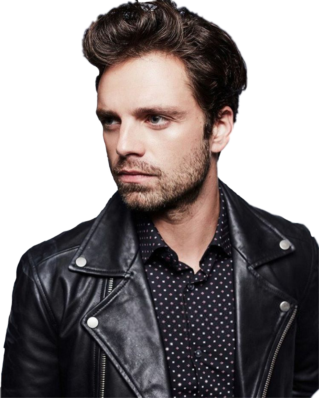 Sebastianstan Sticker - Sebastian Stan Photoshoot 2017 Clipart - Large ...