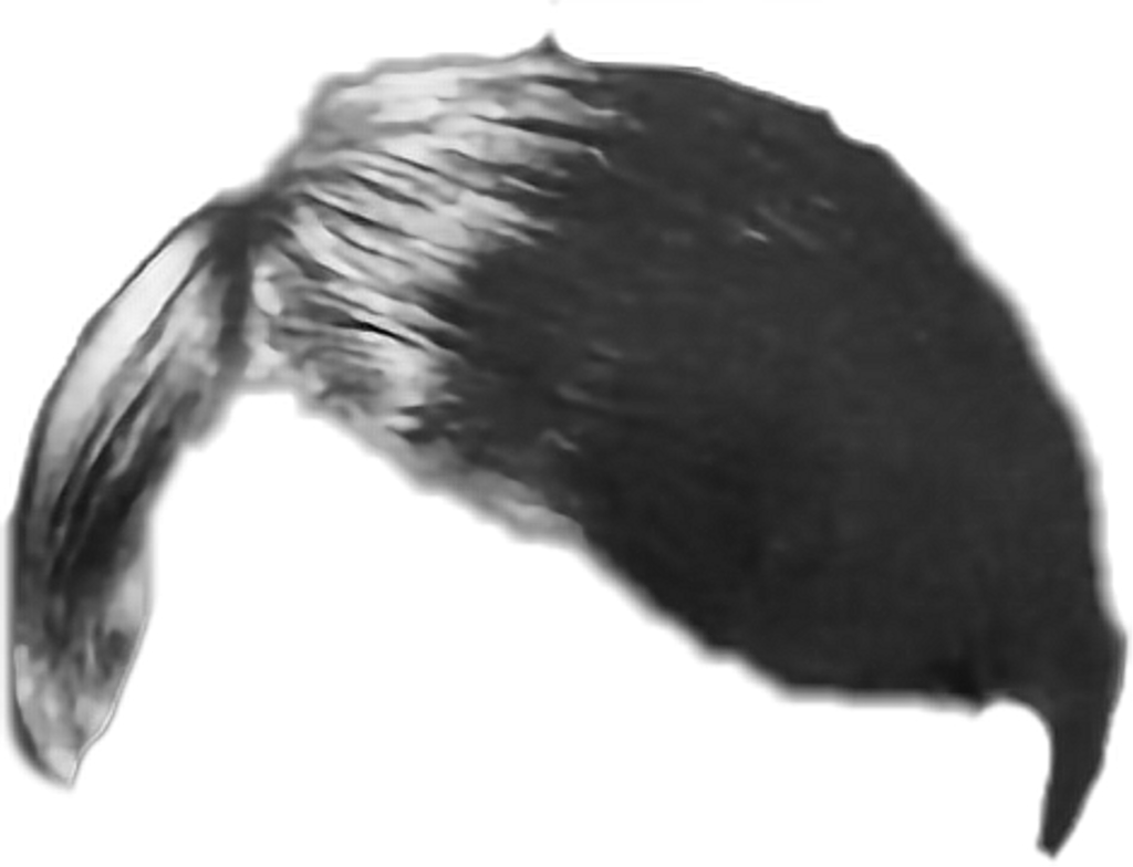 Download Hitler Hair Sticker By Jimmy - Hitler Hair Transparent ...