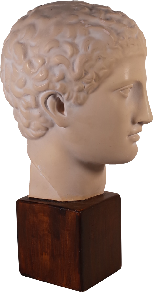 Plaster Bust Of Roman Male - Bust Clipart - Large Size Png Image - PikPng