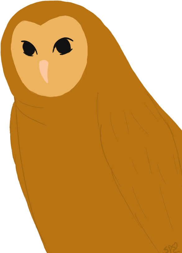 Ovo Owl Png - Barn Owl Clipart - Large Size Png Image - PikPng
