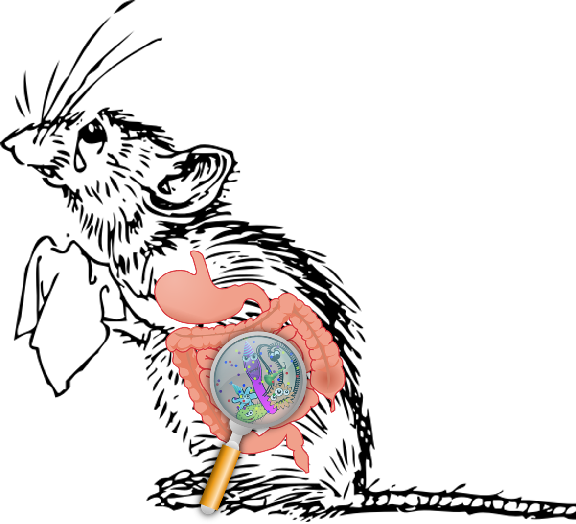 The Brain And Gut Have A Communication Line Through - Sad Mouse Cartoon ...