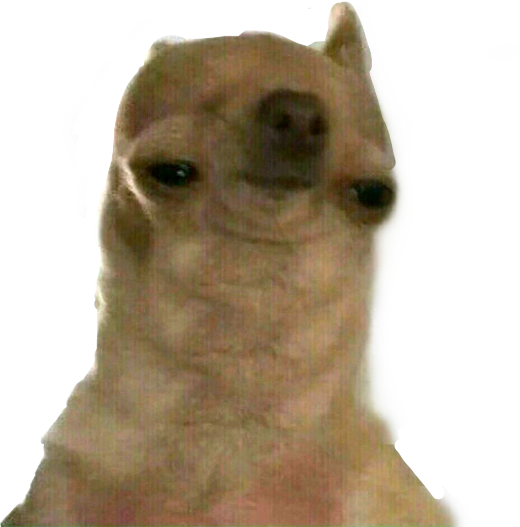 Doggo Sticker - Doggo Meme Clipart - Large Size Png Image - PikPng