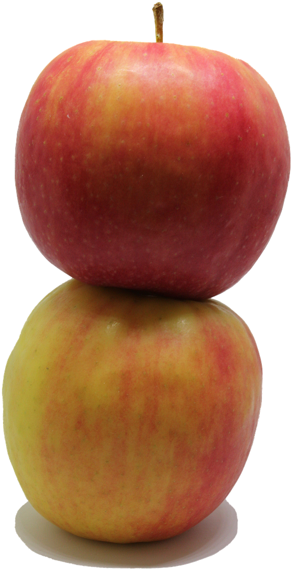 Apple Fruit Png - Frutas Png Clipart - Large Size Png Image - PikPng