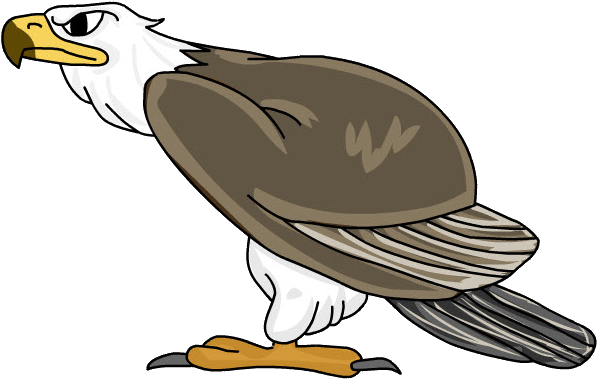Águila - Bald Eagle Clipart - Large Size Png Image - PikPng