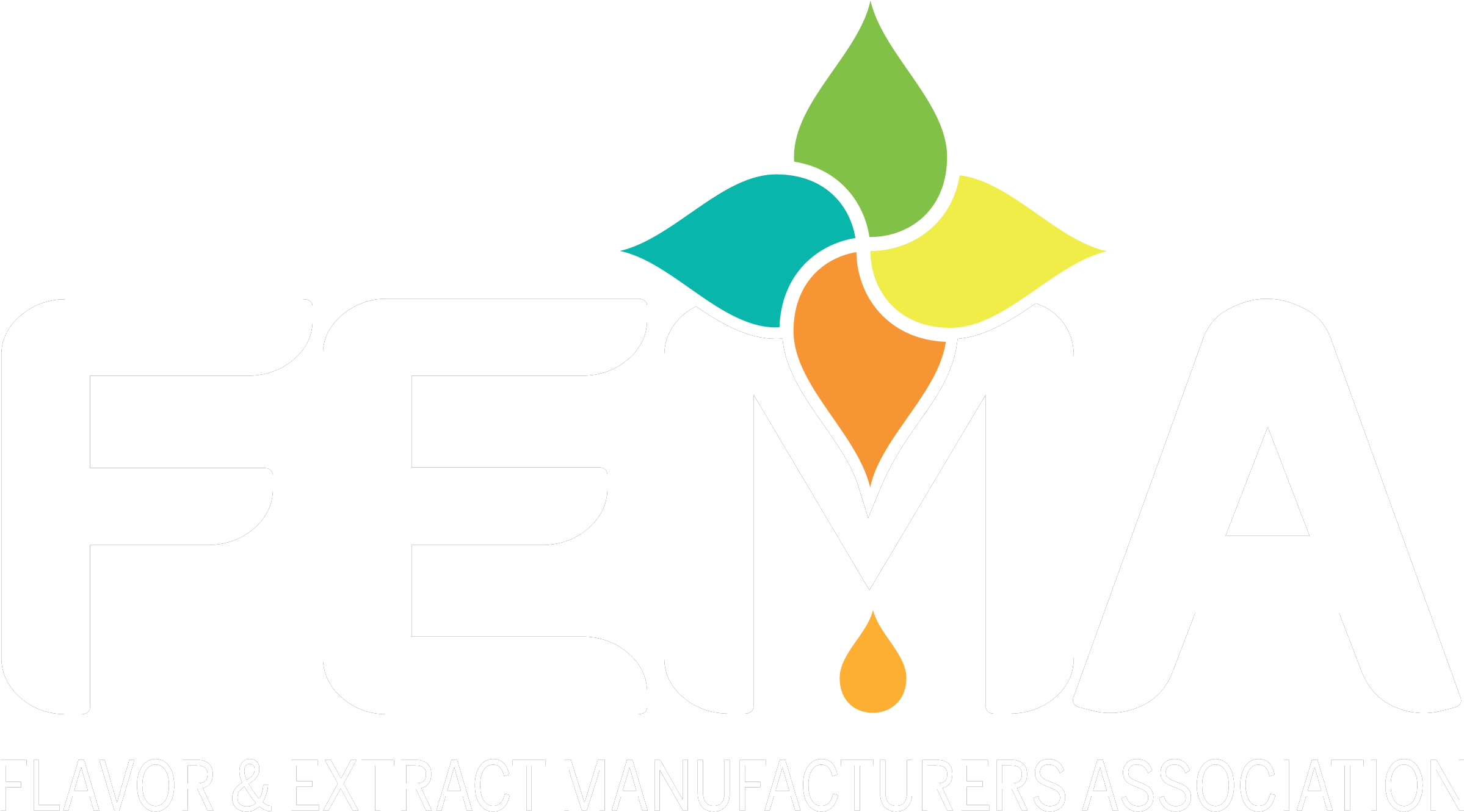 Download Fema Logo Cmykwhite Fema Logo Cmyk Fema Logo Cmyk Fema ...