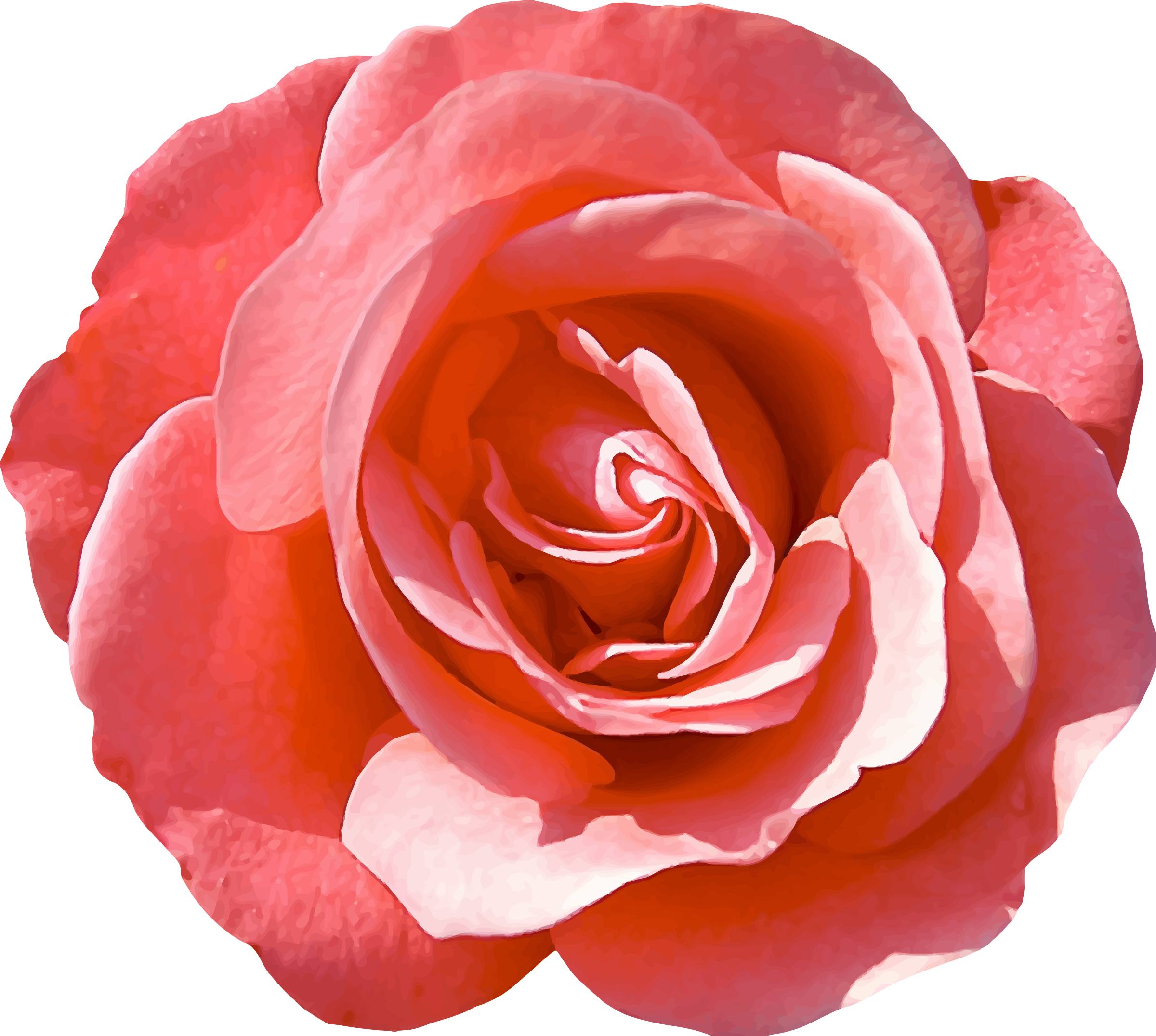 This Free Icons Png Design Of Rose 16 Clipart - Large Size Png Image ...