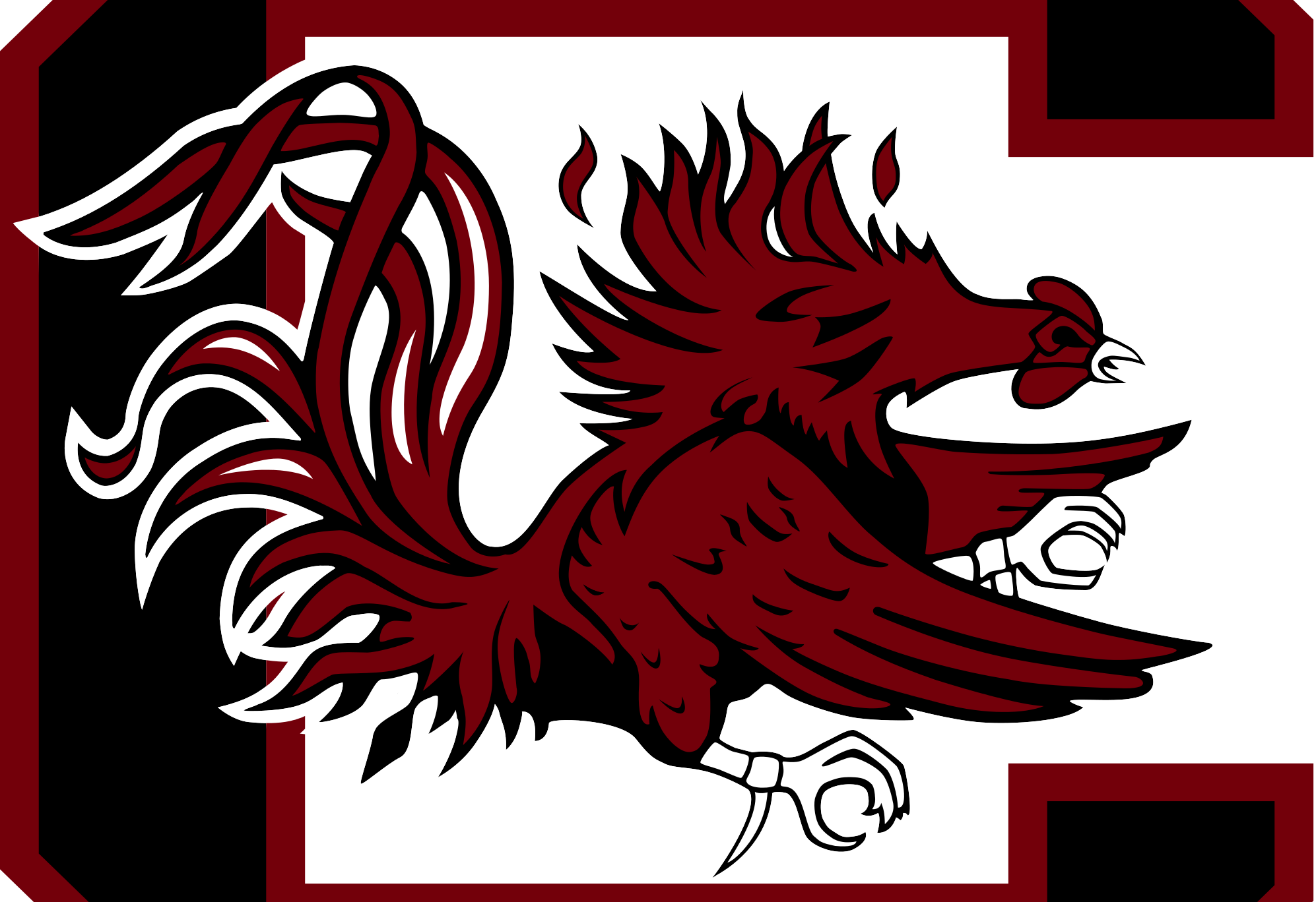 South Carolina Gamecocks Png Clipart - Large Size Png Image - PikPng