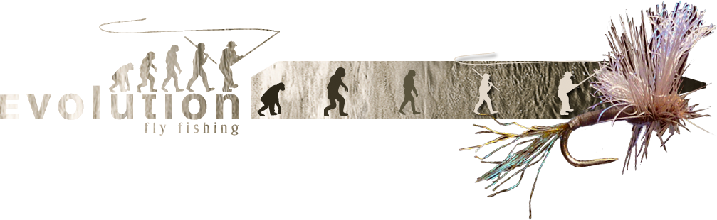 Evolution Fly Fishing Clipart - Large Size Png Image - PikPng