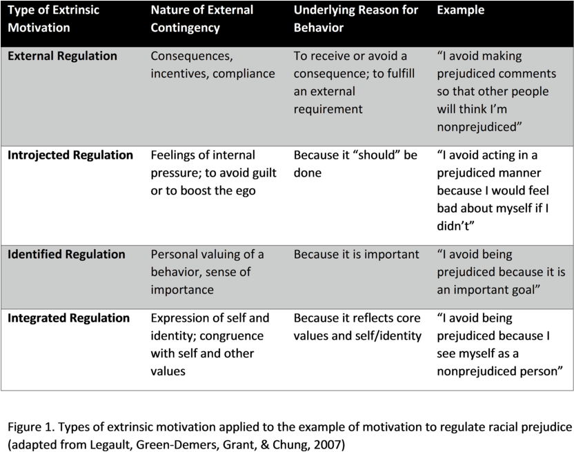 Types Of Extrinsic Motivation - Difference Between Intrinsic And ...