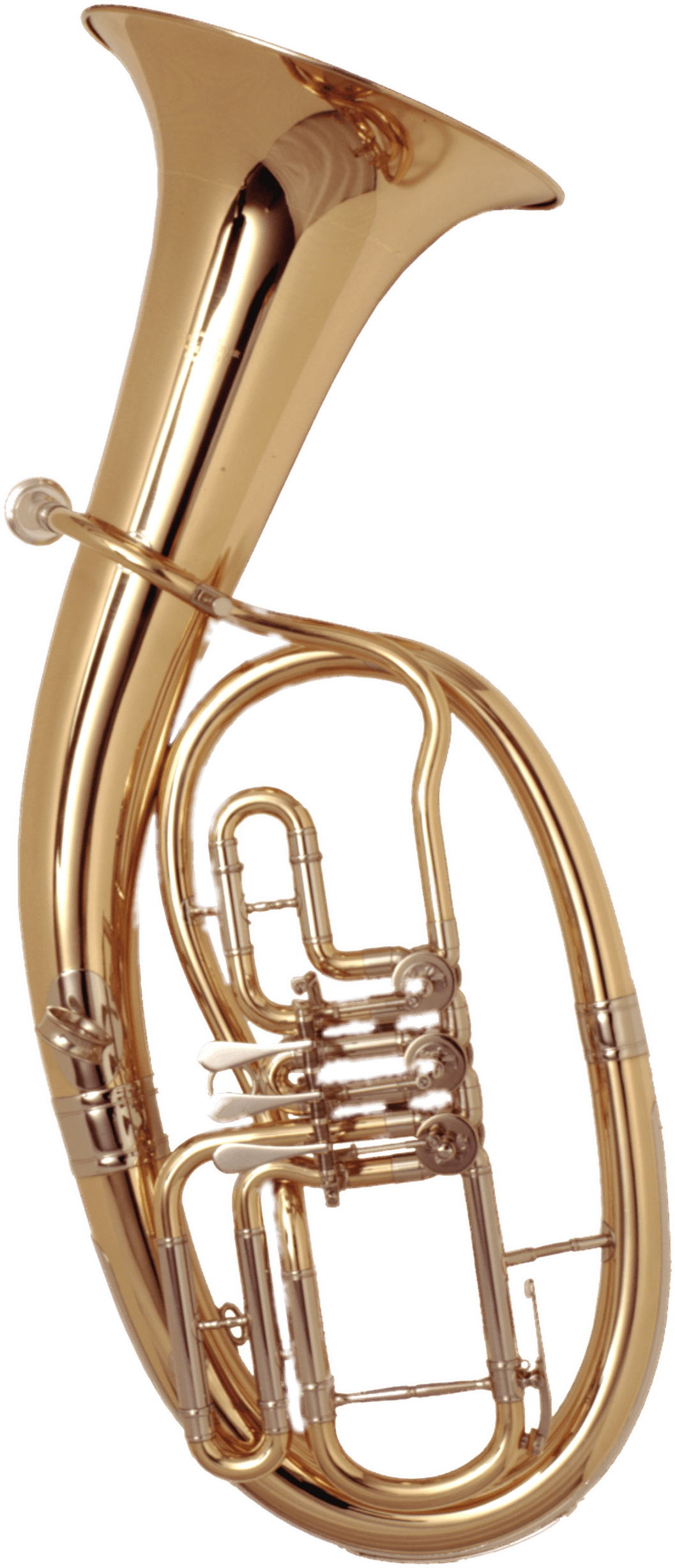 Download - Tenorhorn Clipart - Large Size Png Image - PikPng