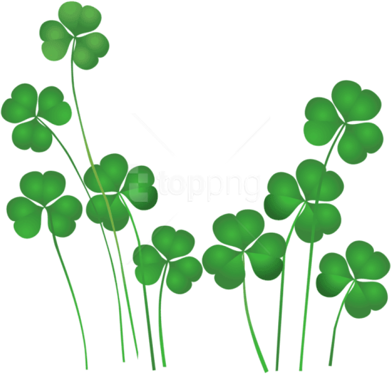 Free Png Download St Patricks Day Shamrocks Decor Png - Shamrocks Free ...