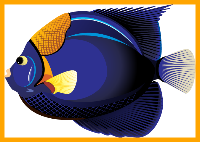 Fascinating Collection Of Fish Clipart Bw High Quality - Realistic Fish ...