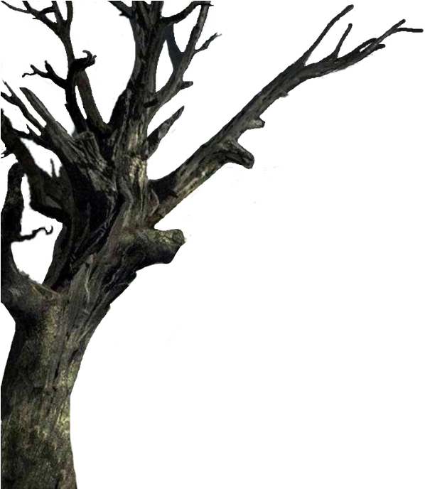 Isolated The Tree - Haunted House Clipart - Large Size Png Image - PikPng