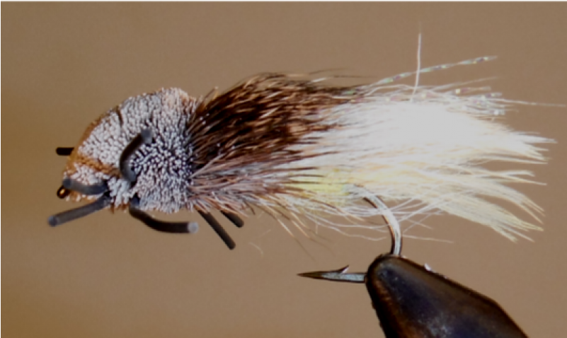 Tarantula - Yellow - Insect Clipart - Large Size Png Image - PikPng