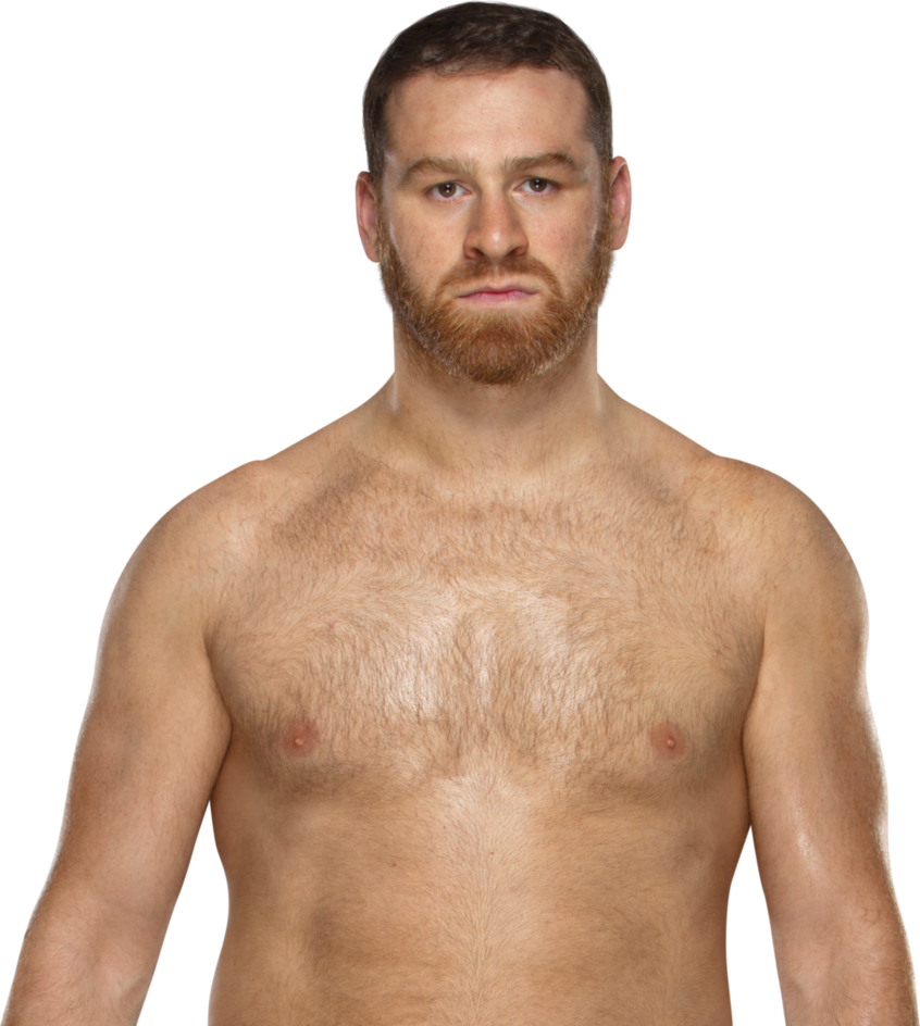 Sami Zayn Png - Sami Zayn Wwe Champion Clipart - Large Size Png Image - PikPng