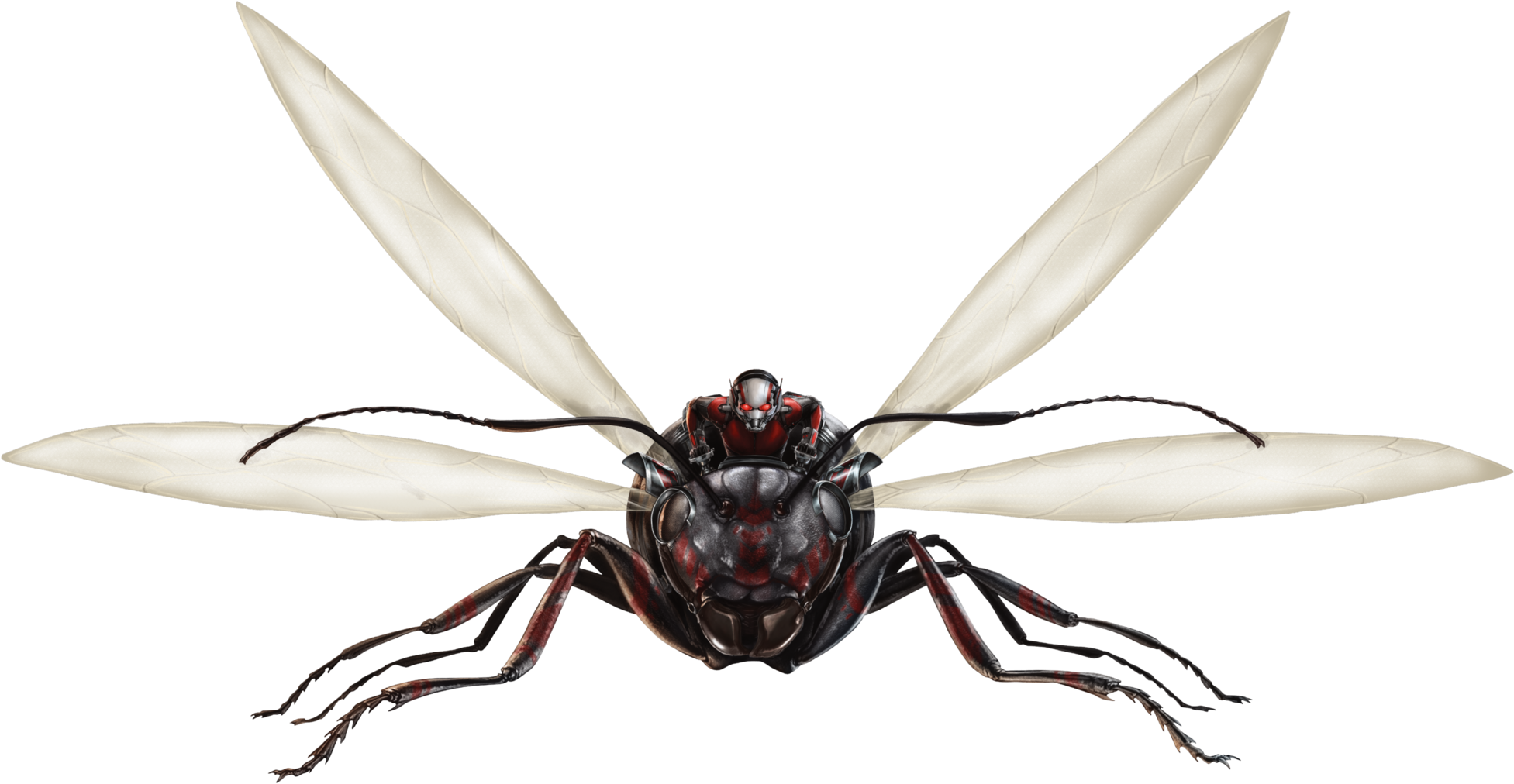 Ant Thony Fh Clipart - Large Size Png Image - PikPng