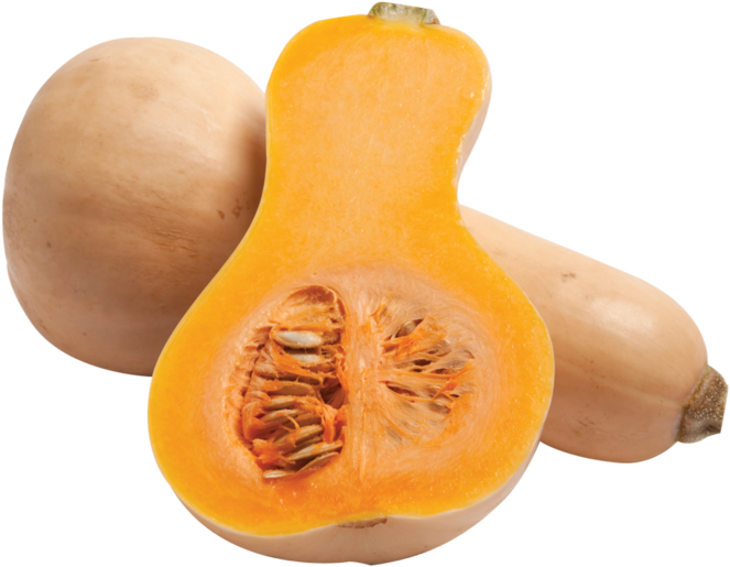 Butternut Squash Png Clipart - Large Size Png Image - PikPng