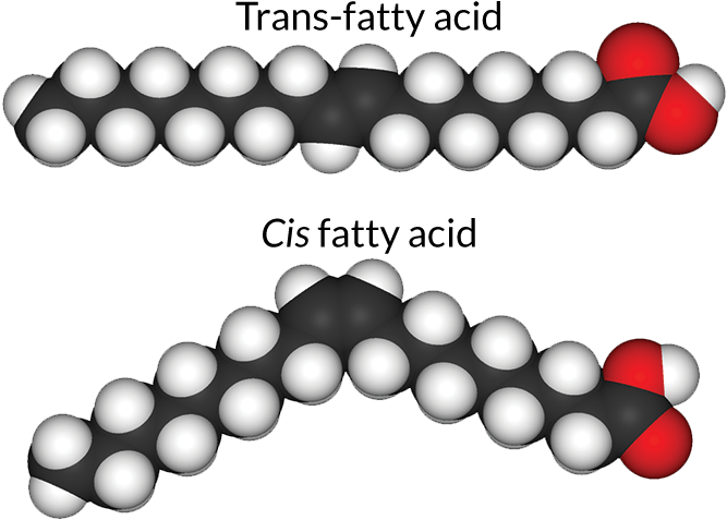 Download When - Structure Of Cis And Trans Fatty Acid Clipart Png ...