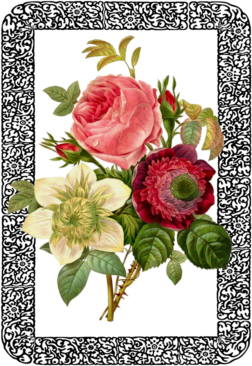 Vintage Rose Bouquet - Vintage Flower Illustrations Png Clipart - Large ...