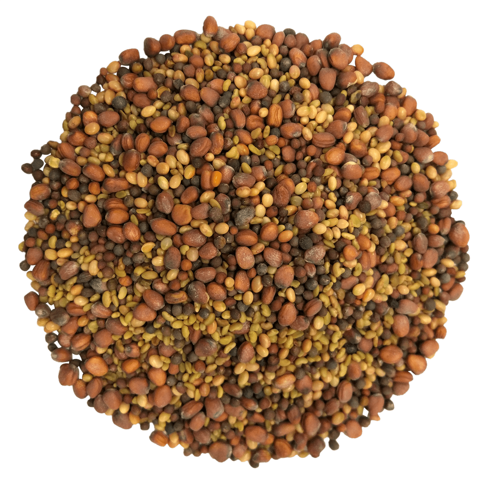 Salad Mix Of Sprouting Seed - Pulse Clipart - Large Size Png Image - PikPng