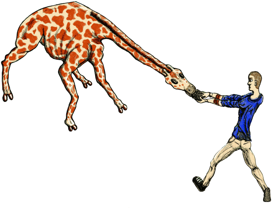 Tug O War - Giraffe Clipart - Large Size Png Image - PikPng