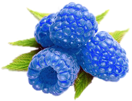 Raspberries Clipart Cute - Blue Raspberry - Png Download - Large Size ...