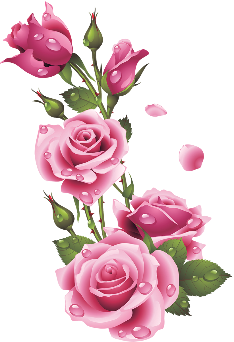 Ruže « Category - Flower Images Png Hd Clipart - Large Size Png Image ...