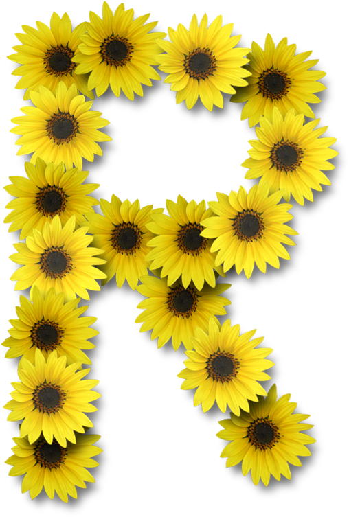 Alfabeto Sunflowers - Letter R Sunflower Design Clipart - Large Size ...