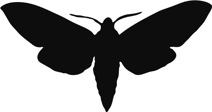 Moth Png - Moth Silhouette Clipart - Large Size Png Image - PikPng