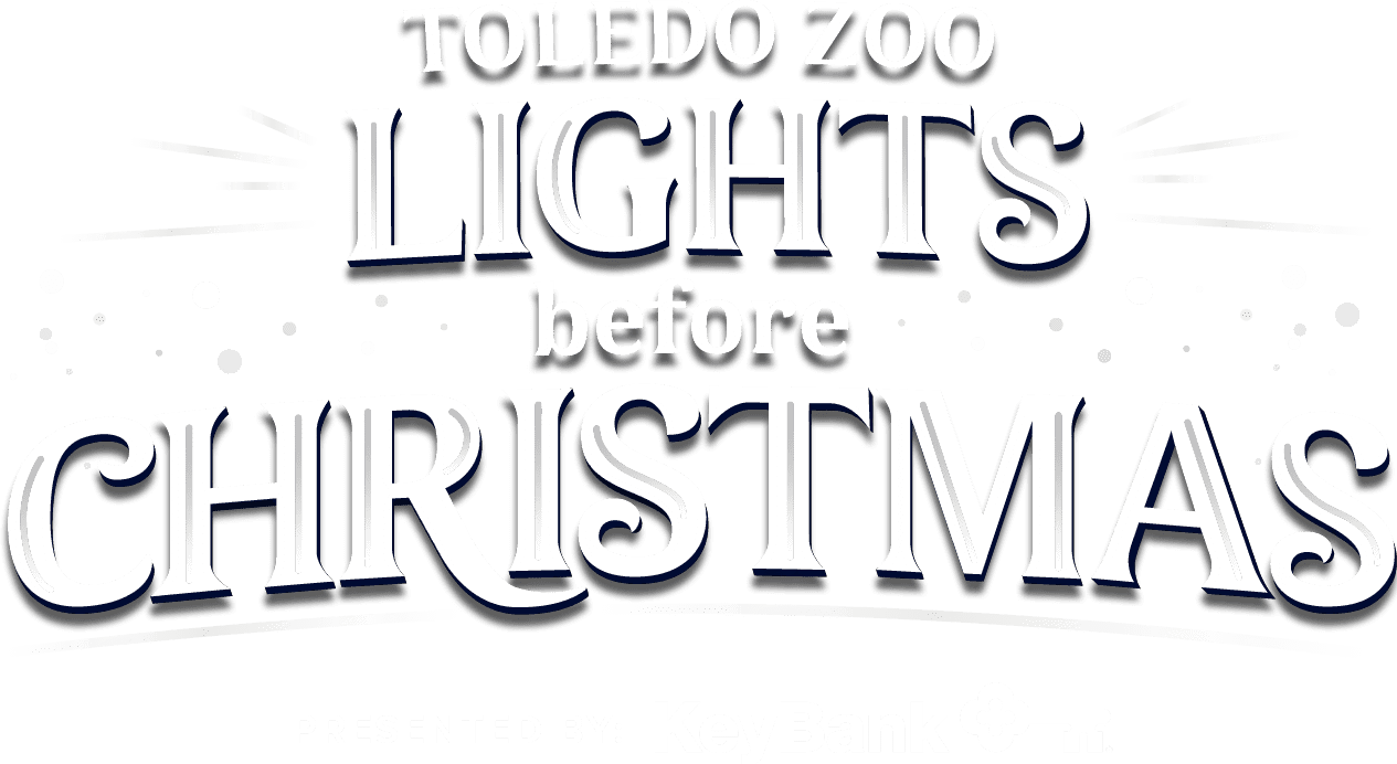 Calligraphy Clipart - Large Size Png Image - PikPng